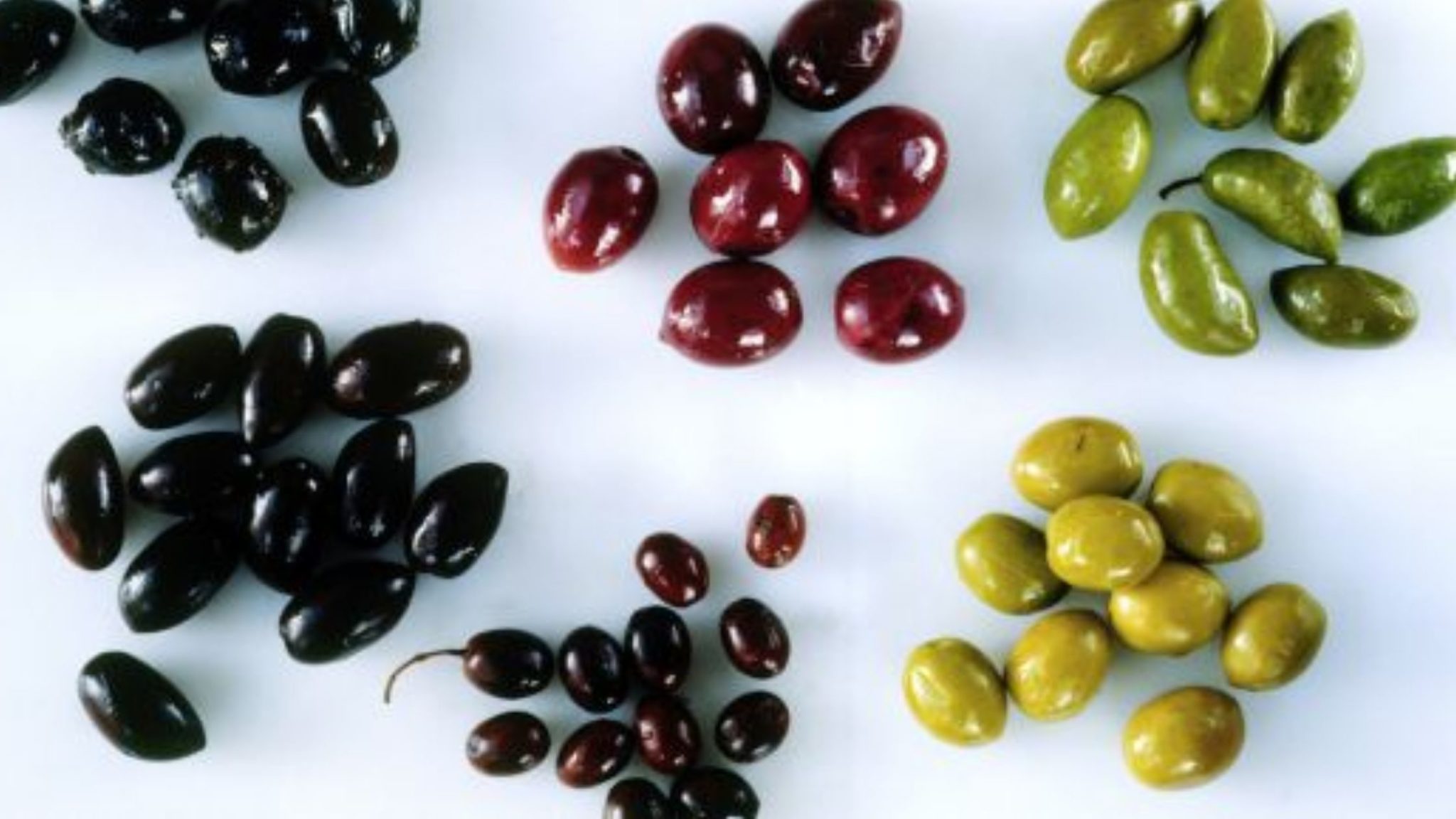 Tipos de aceitunas en España | Las mejores 15 Variedades